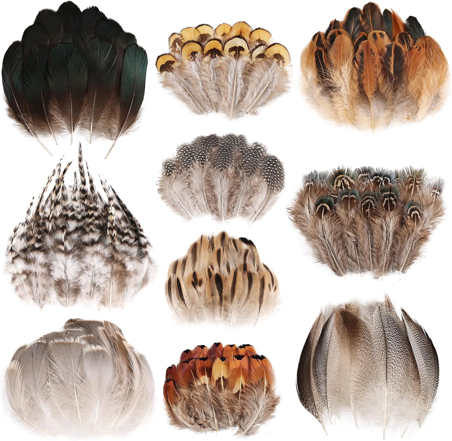 Amazon.com: MehelloFeather Small Natural Pheasant Feathers 10 Style ...