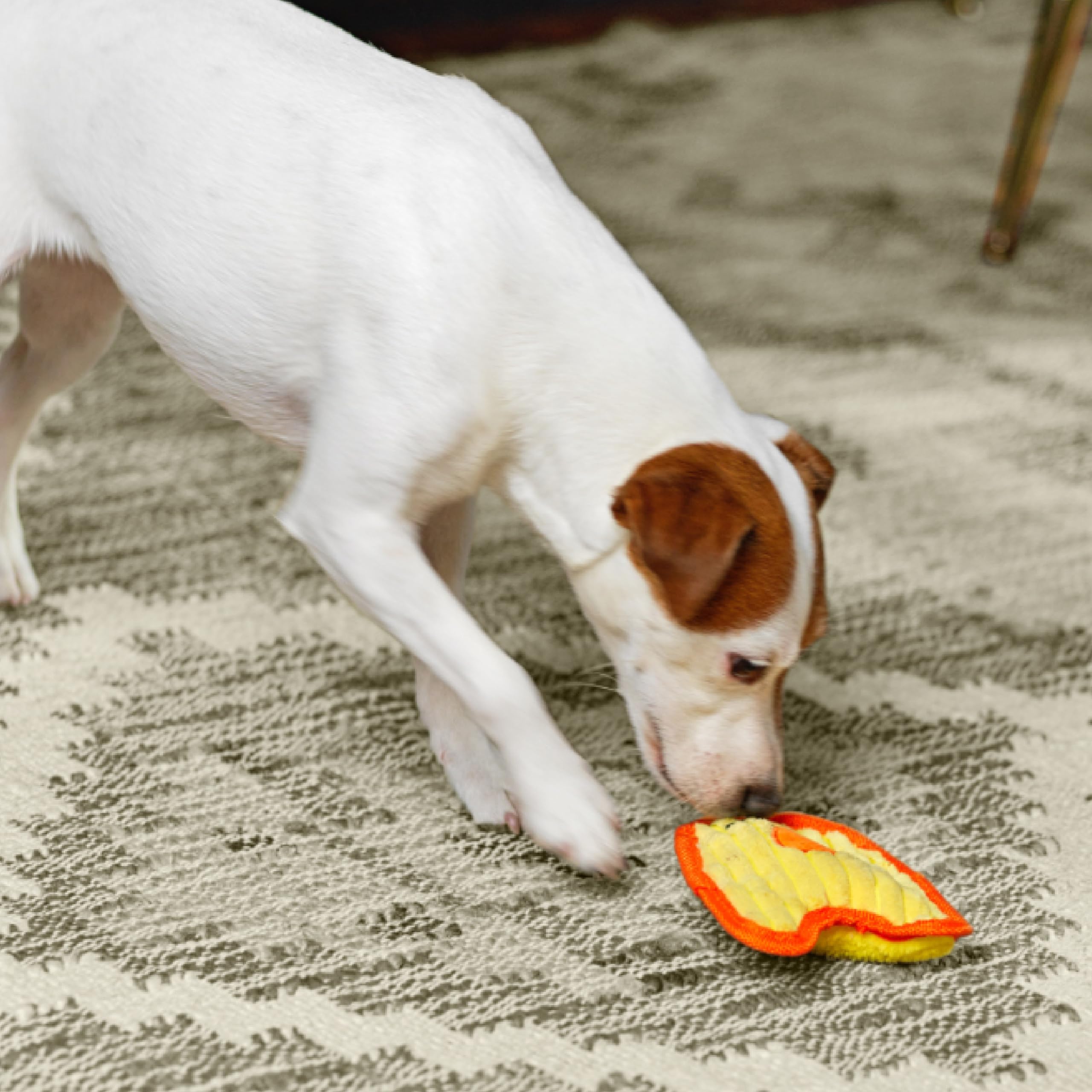 Snapklik.com : Outward Hound Durablez Tough Plush Squeaky Dog Toy