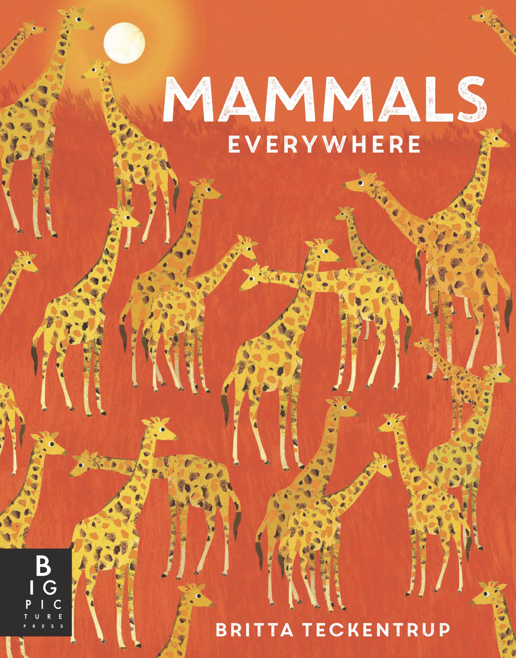 Mammals Everywhere (Animals Everywhere): Bedoyere, Camilla de la ...