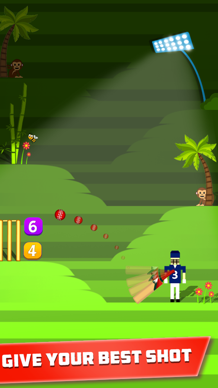 Mr. Bat: The Cricket Game - App on Amazon Appstore