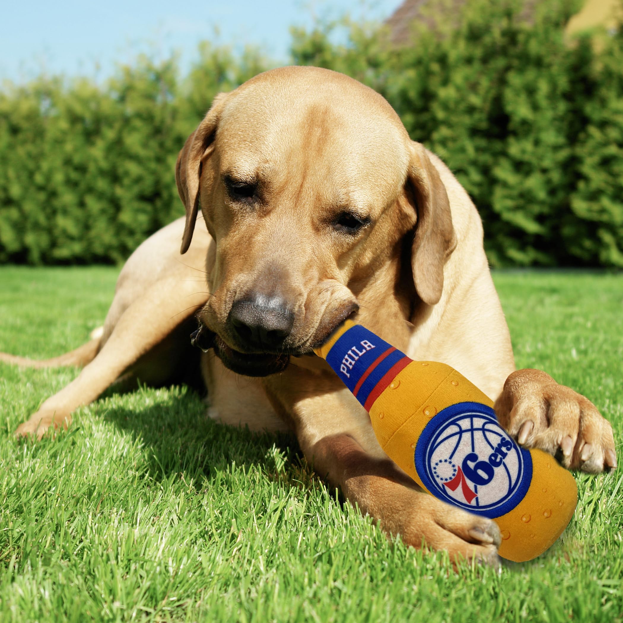 Snapklik.com : NBA Philadelphia 76ers Beer Bottle Plush Dog & CAT ...