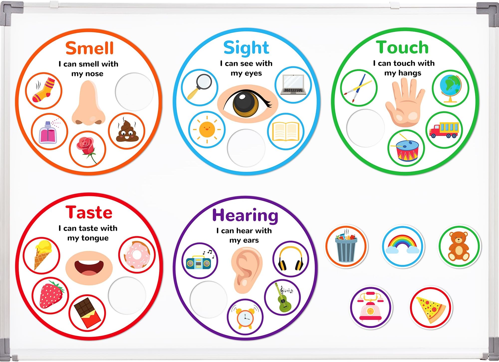 Amazon.com: 10 Packs Toddlers Magnetic Sorting Set Shape Recognition ...