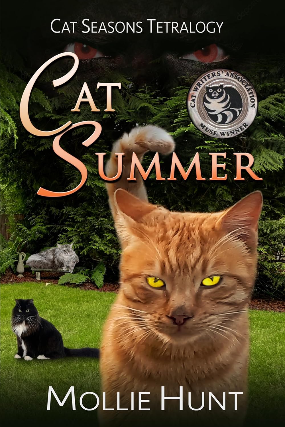 Amazon.com: Cat Summer (The Cat Seasons Tetralogy) eBook : Hunt, Mollie ...