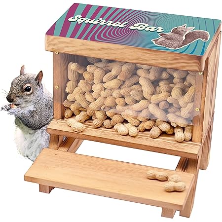 Amazon.com : Navaris Nut Bar Squirrel Feeder - Funny Squirrel Feeder ...