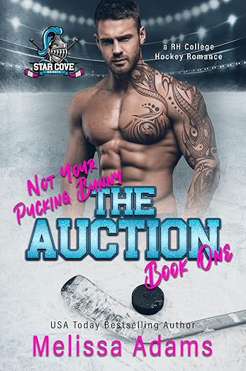 Ice, Ice, Baby: Reverse Harem Hockey Romances - The Naughty Book Box