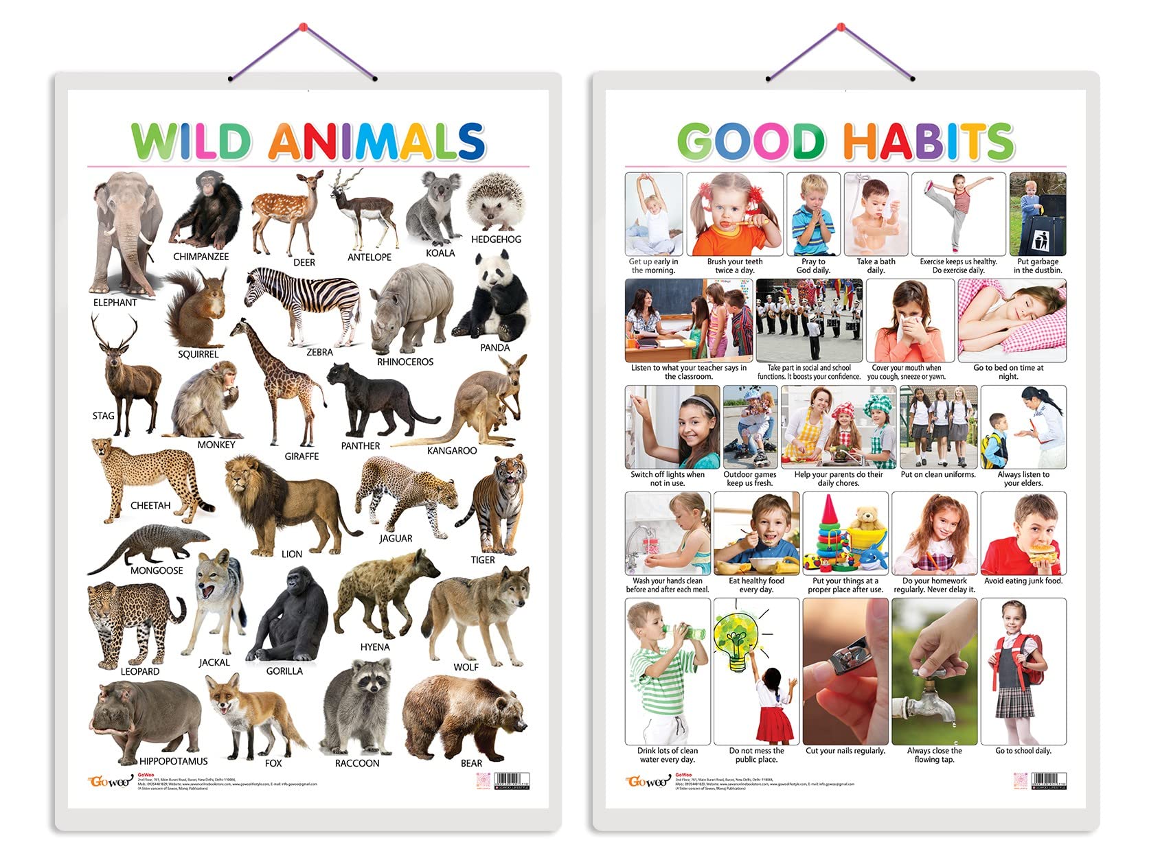 Buy Set of 2 Wild Animals and Good Habits Early Learning Educational ...