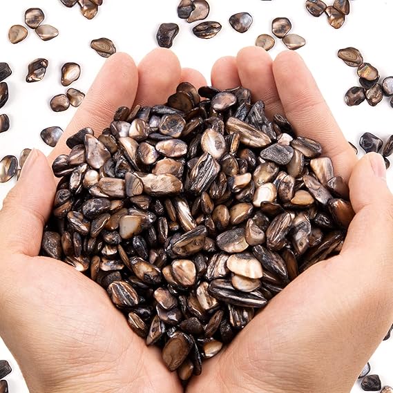 Amazon.com: QICQDRAM Crushed Shells for Crafts About 1LB (405g/14.28oz ...