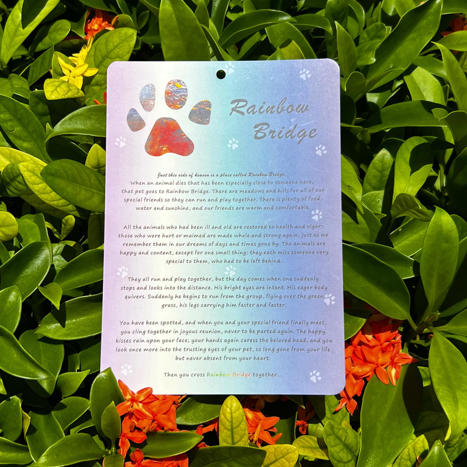 The Rainbow Bridge For Dogs Printable