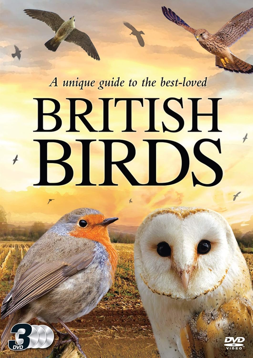 Amazon.com: British Birds [3 DVD BOXSET] : Movies & TV