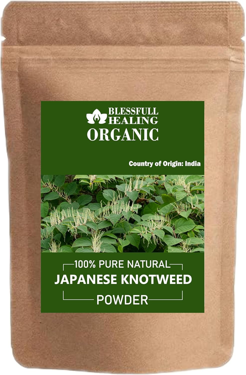 Amazon.com: Blessfull Healing Organic Japanese Knotweed Powder 100% ...