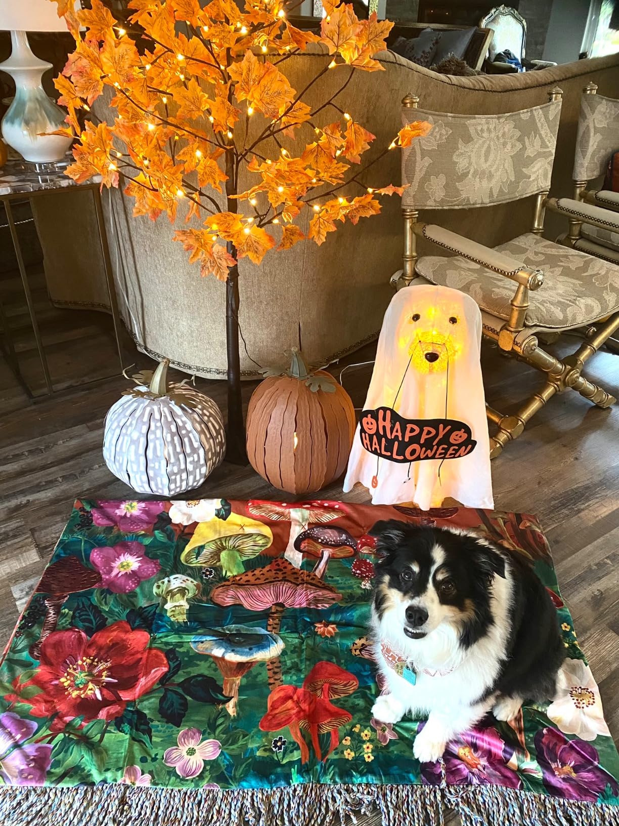 Amazon.com: Lights4fun, Inc. 2ft Lighted Ghost Dog Figure Pre-Lit LED ...