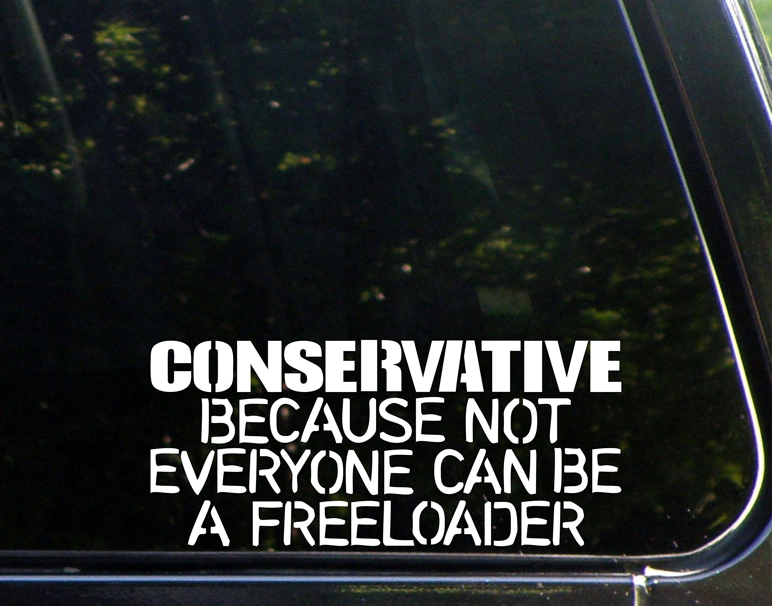 Amazon.com: Sweet Tea Decals Conservative Because not Everyone can be a ...