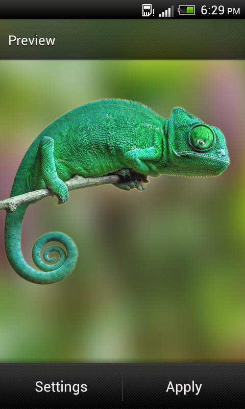 Live Chameleon - Funny Girgit:Amazon.de:Appstore for Android