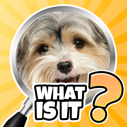 What is it? Quiz Trivia Game - App on the Amazon Appstore