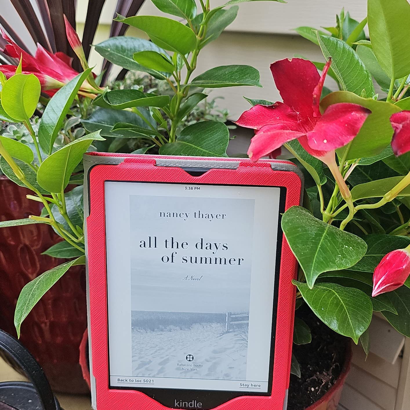 All the Days of Summer: A Novel - Kindle edition by Thayer, Nancy ...
