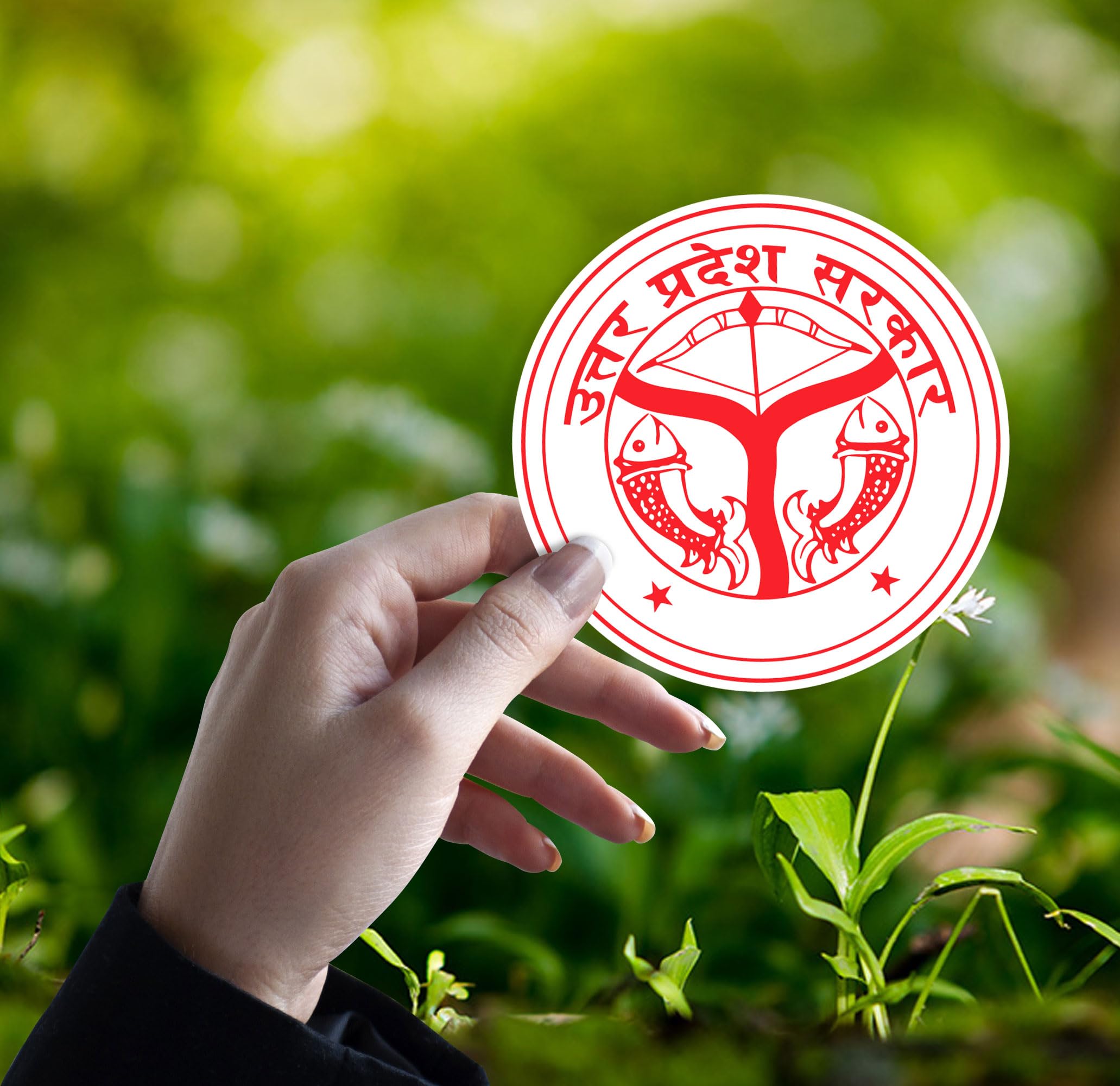 Govt Of Up Logo INE540P07467 | 9.95% UP Power Corporation Limited 31