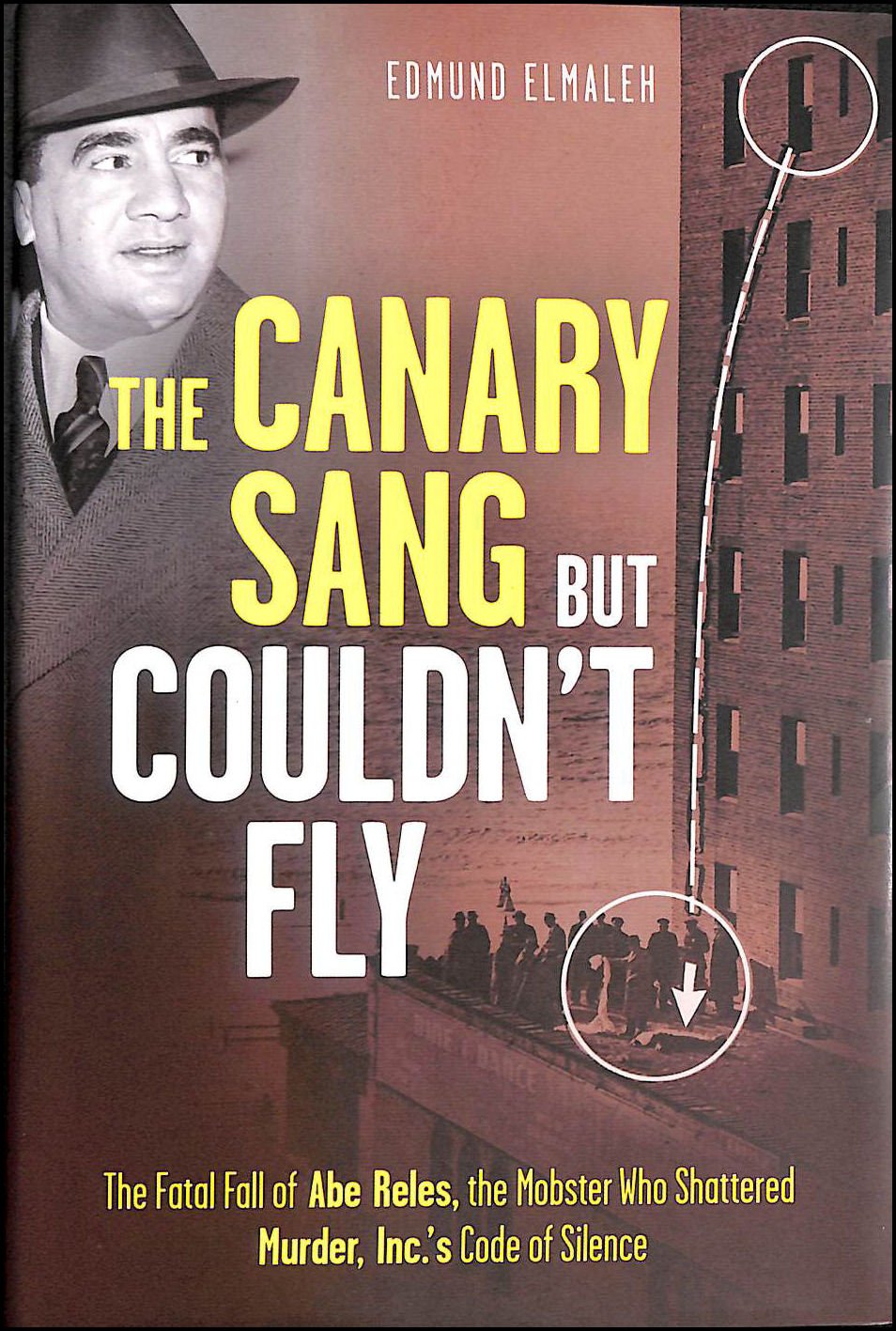 The Canary Sang But Couldn't Fly: The Fatal Fall of Abe Reles, the ...