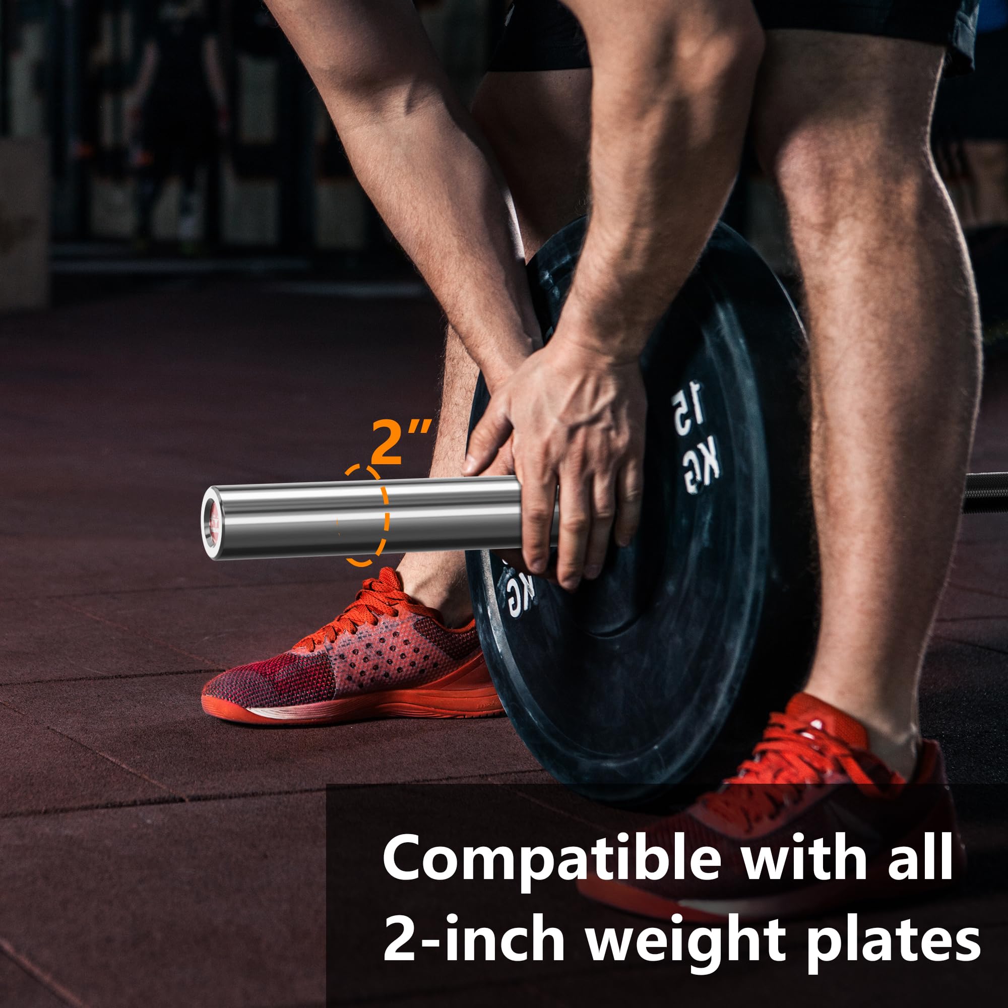 Snapklik.com : Olympic Barbell Bar 2 Inch EZ Curl Bar For Biceps ...