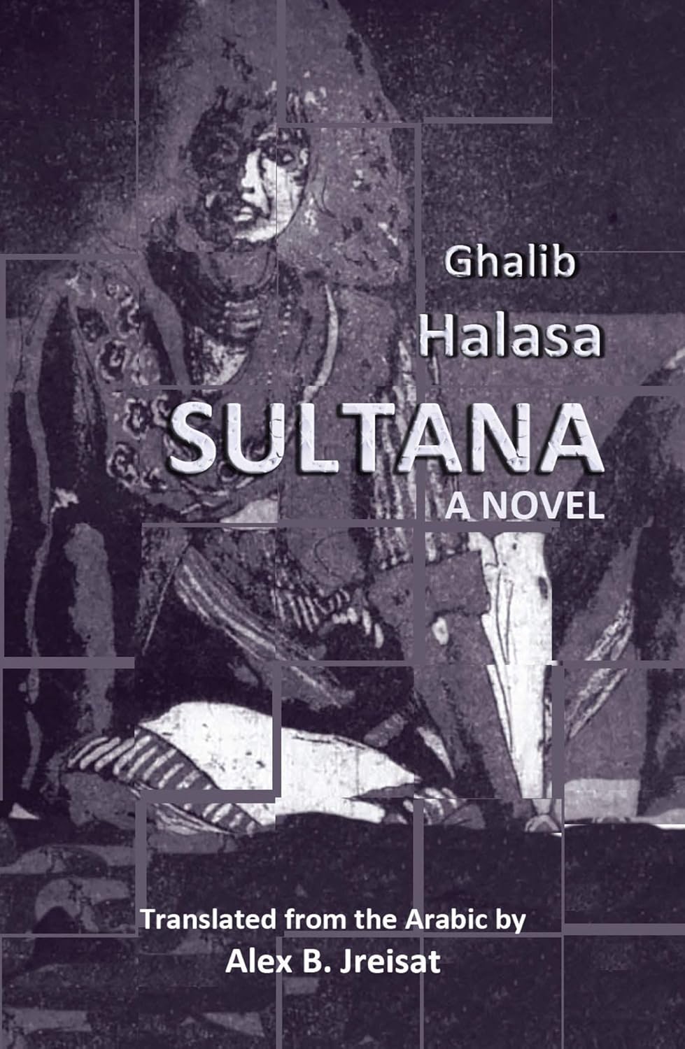 Sultana: Halasa, Ghalib, Jreisat, Alex B.: 9781568593173: Amazon.com: Books