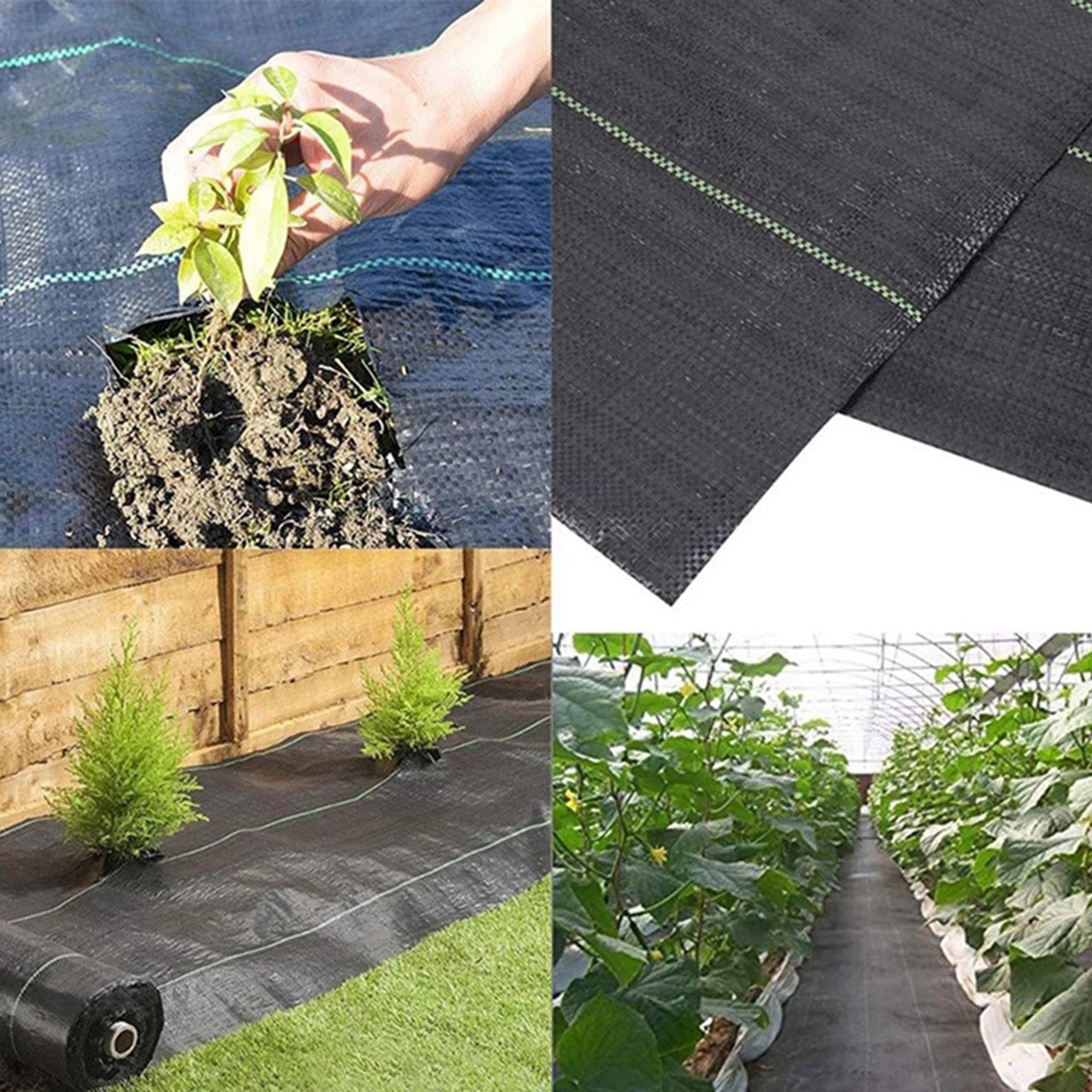 Garden Sheeting For Weeds How To Use Black Plastic To Kill Weeds And