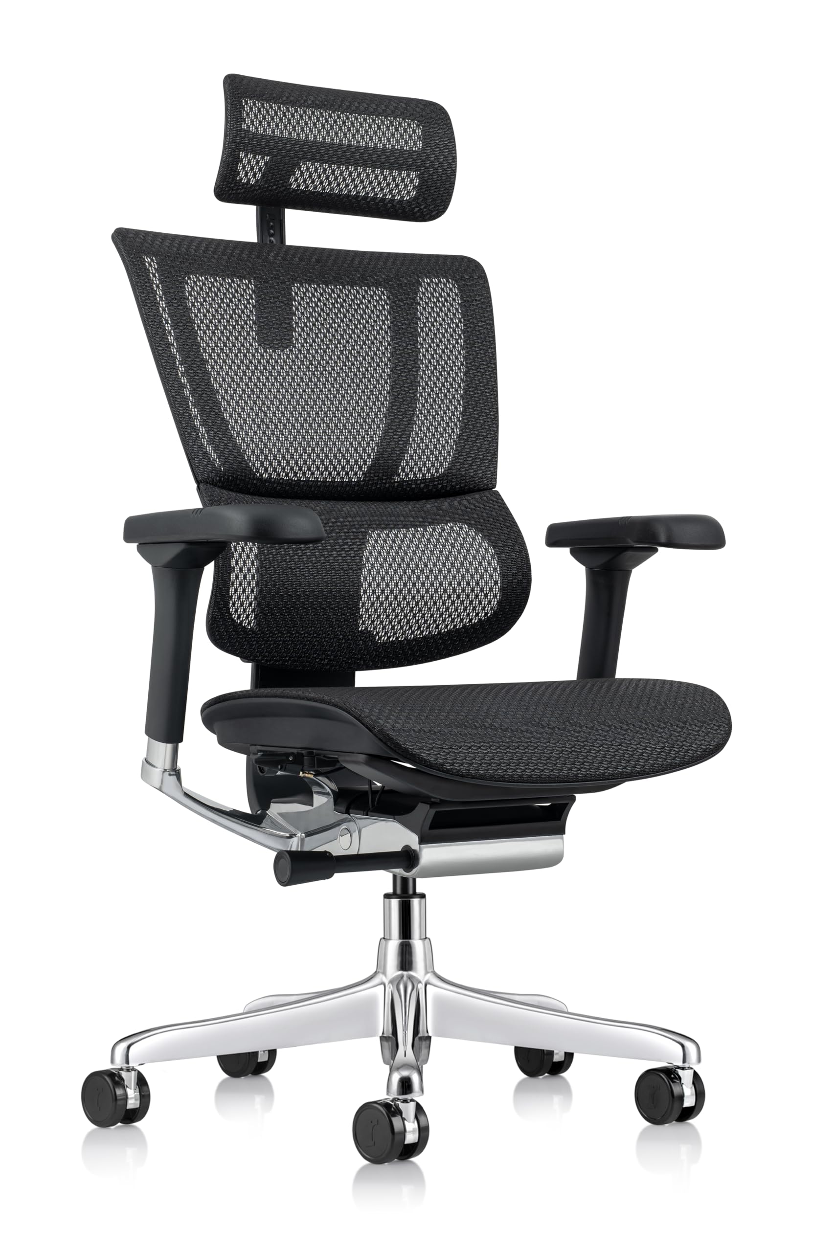 Amazon.com: Ergohuman Eurotech ME2ERG-XTREME High Back Mesh Office ...