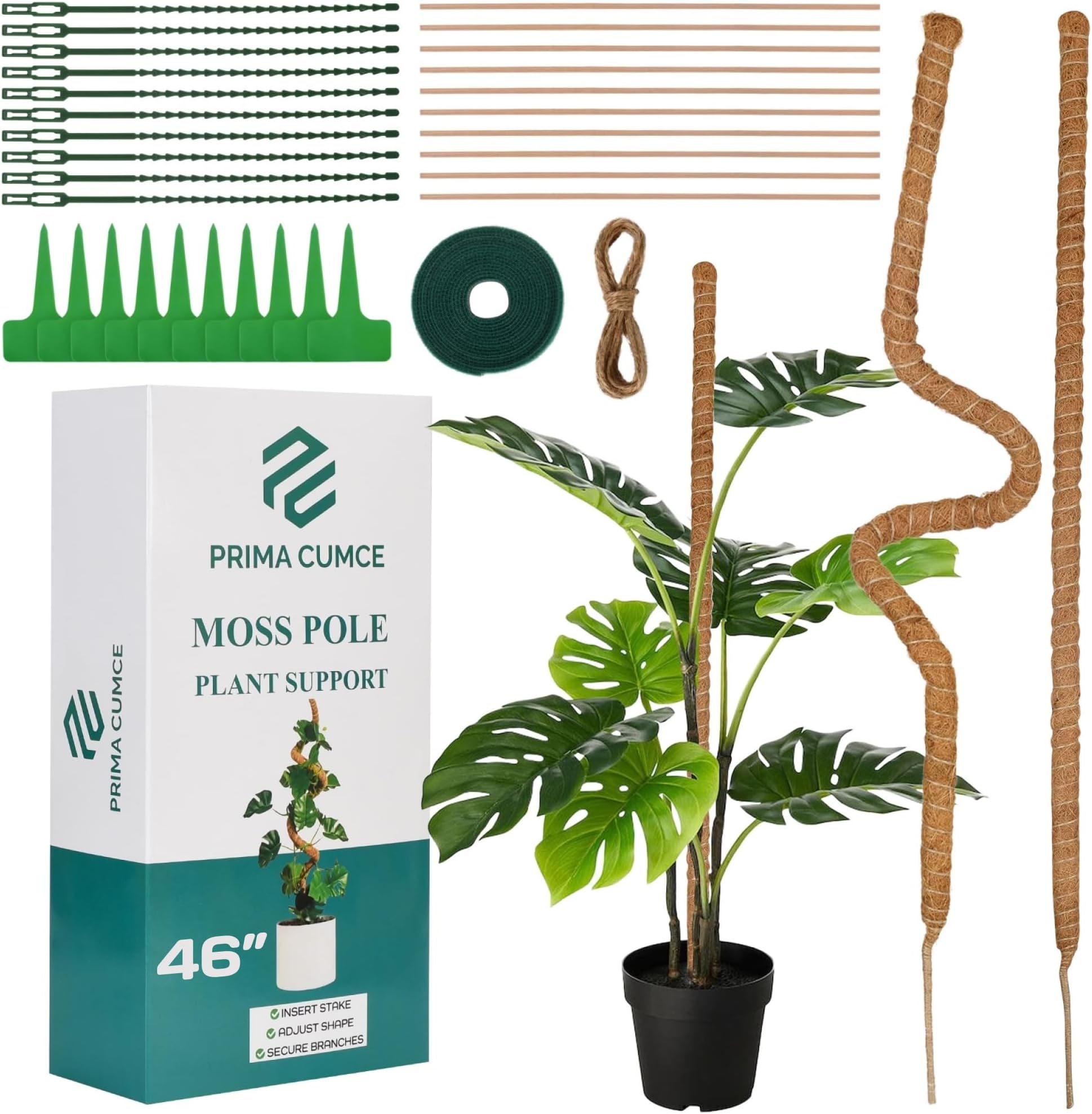 Amazon.com : Moss Pole Monstera Plant Support Set of 2 – Plant Stakes ...
