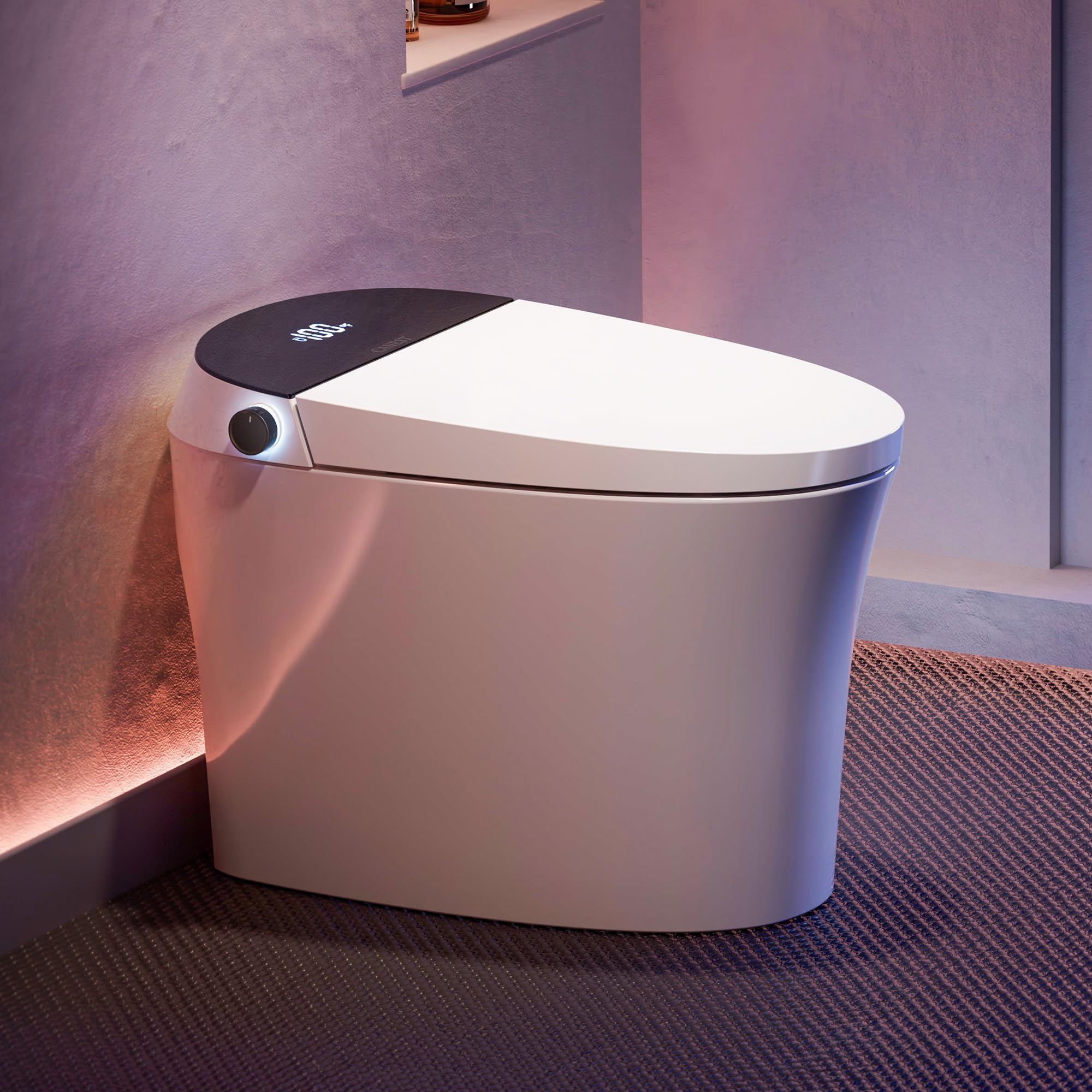 CANEST Smart Bidet Toilet, Smart Toilet with Bidet Built in, Pump ...