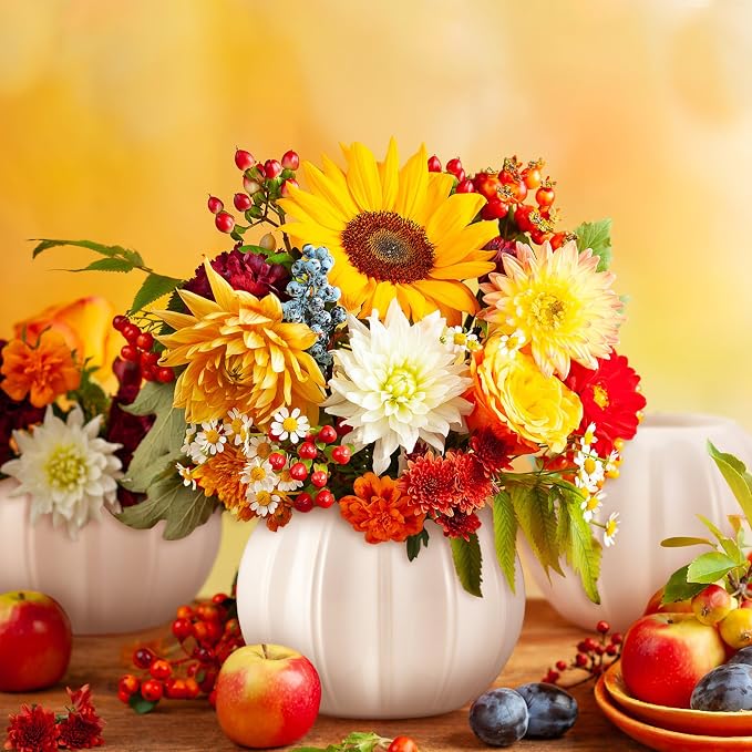 Amazon.com : Sieral 3 Pcs Pumpkin Shape Ceramic Vase Fall Flower Vase 5 ...