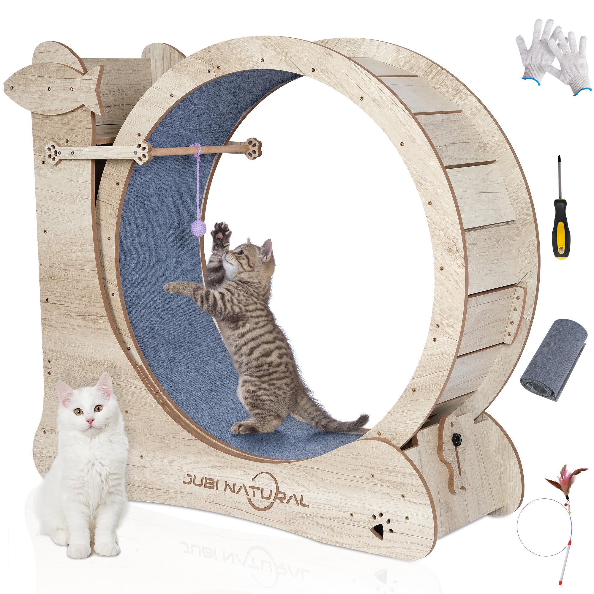 Amazon.com : Cat Exercise Wheel, 40" Cat Running Wheel for Indoor Cat ...
