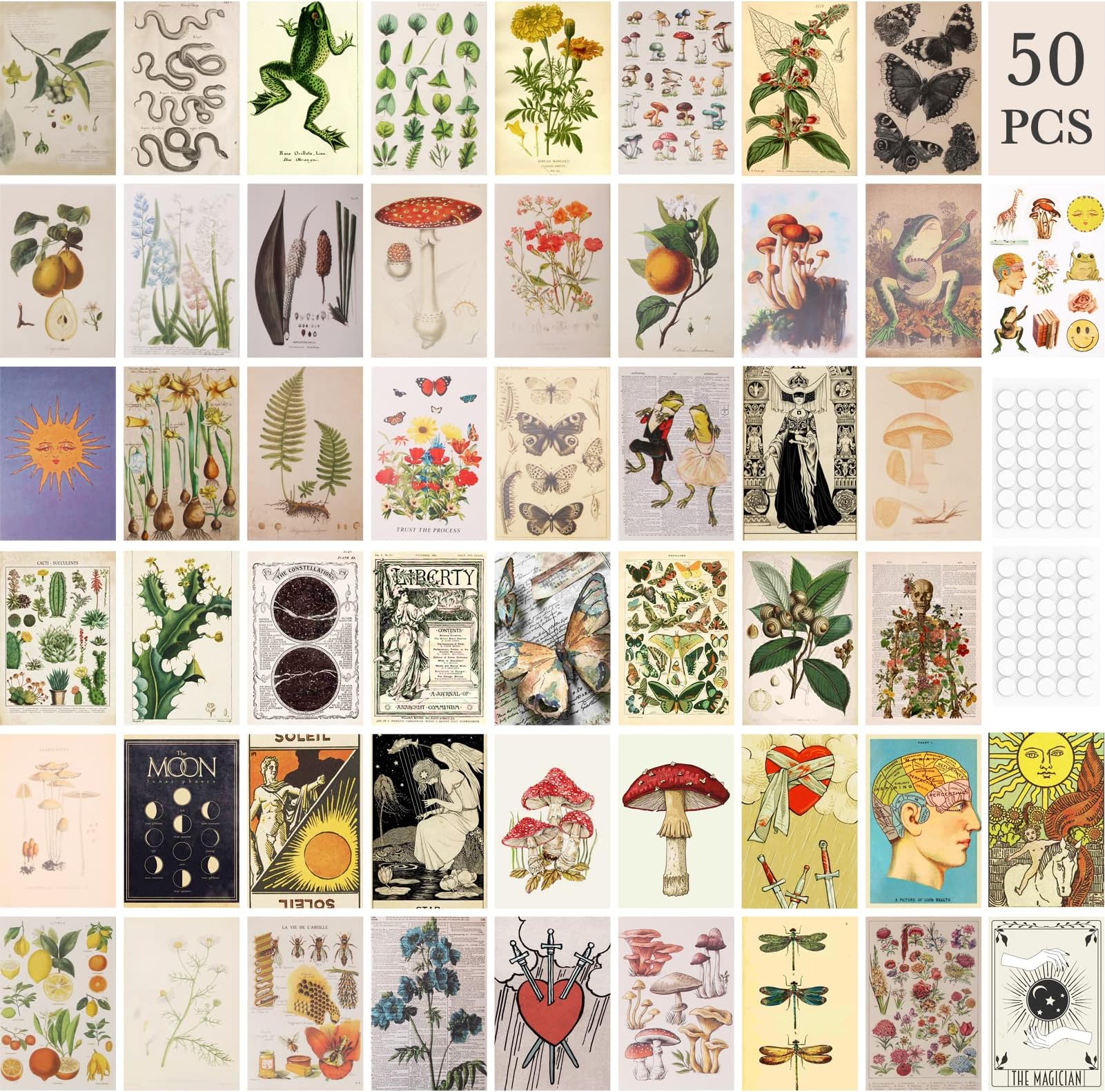 Amazon.com: EDUS 54PCS Vintage Rock Wall Collage Kit, Rock Band Posters ...