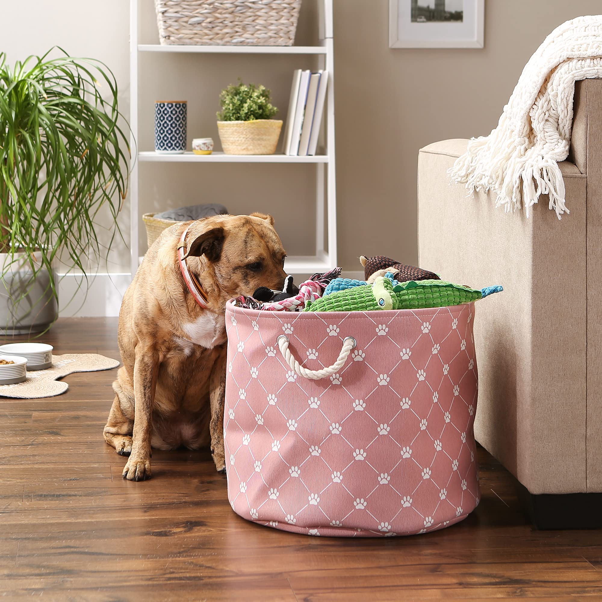 Snapklik.com : Bone Dry Pet Storage Collection Paw And Bone Print