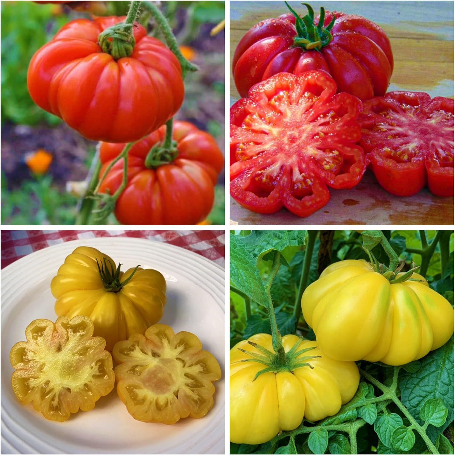 Amazon.com : 50+ Ruffled Tomato Seeds Non GMO Vegetable Fruit Seeds ...
