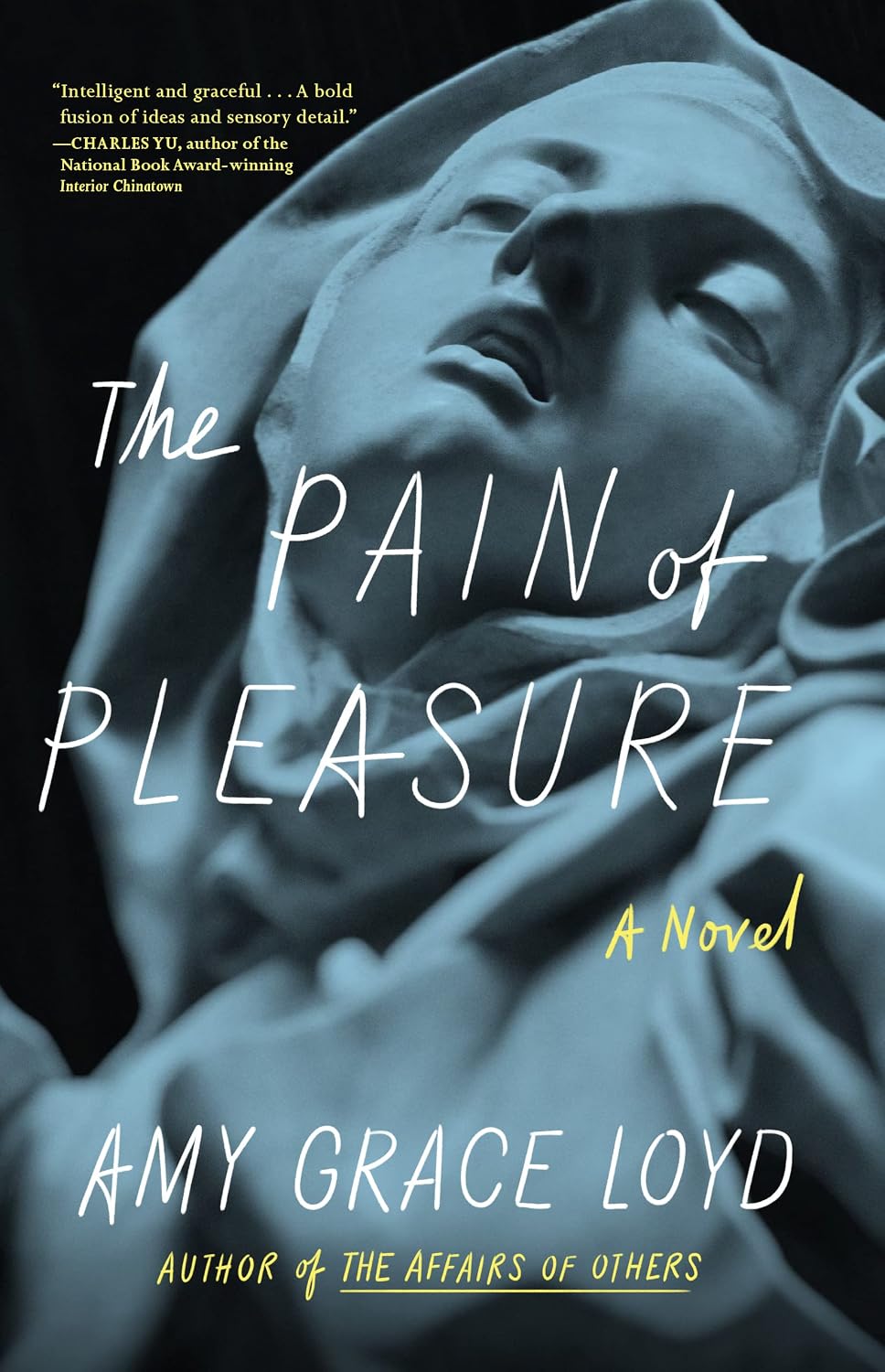 The Pain of Pleasure - Kindle edition by Loyd, Amy Grace. Literature ...