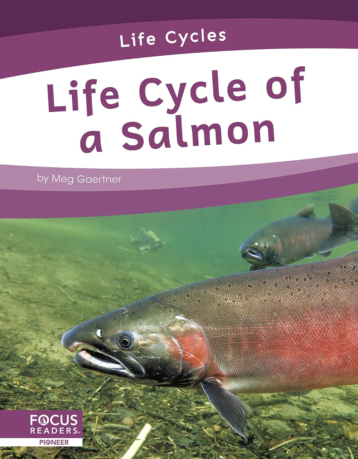 Life Cycle of a Salmon (Life Cycles (Set of 8)) - Kindle edition by ...