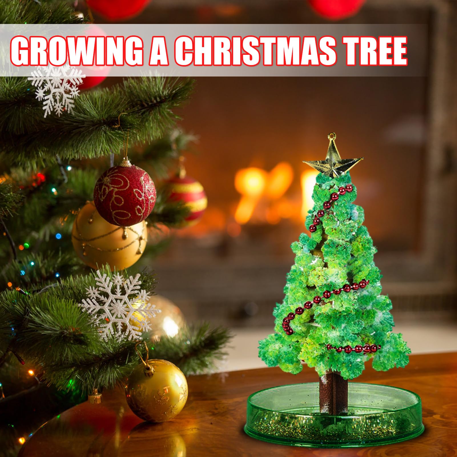Magic Tree Christmas The Magic Tree The Italian Guest