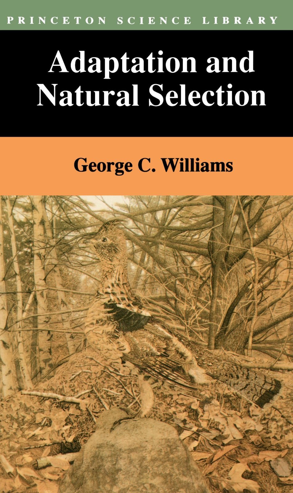 Amazon | Adaptation and Natural Selection (Princeton Science Library ...