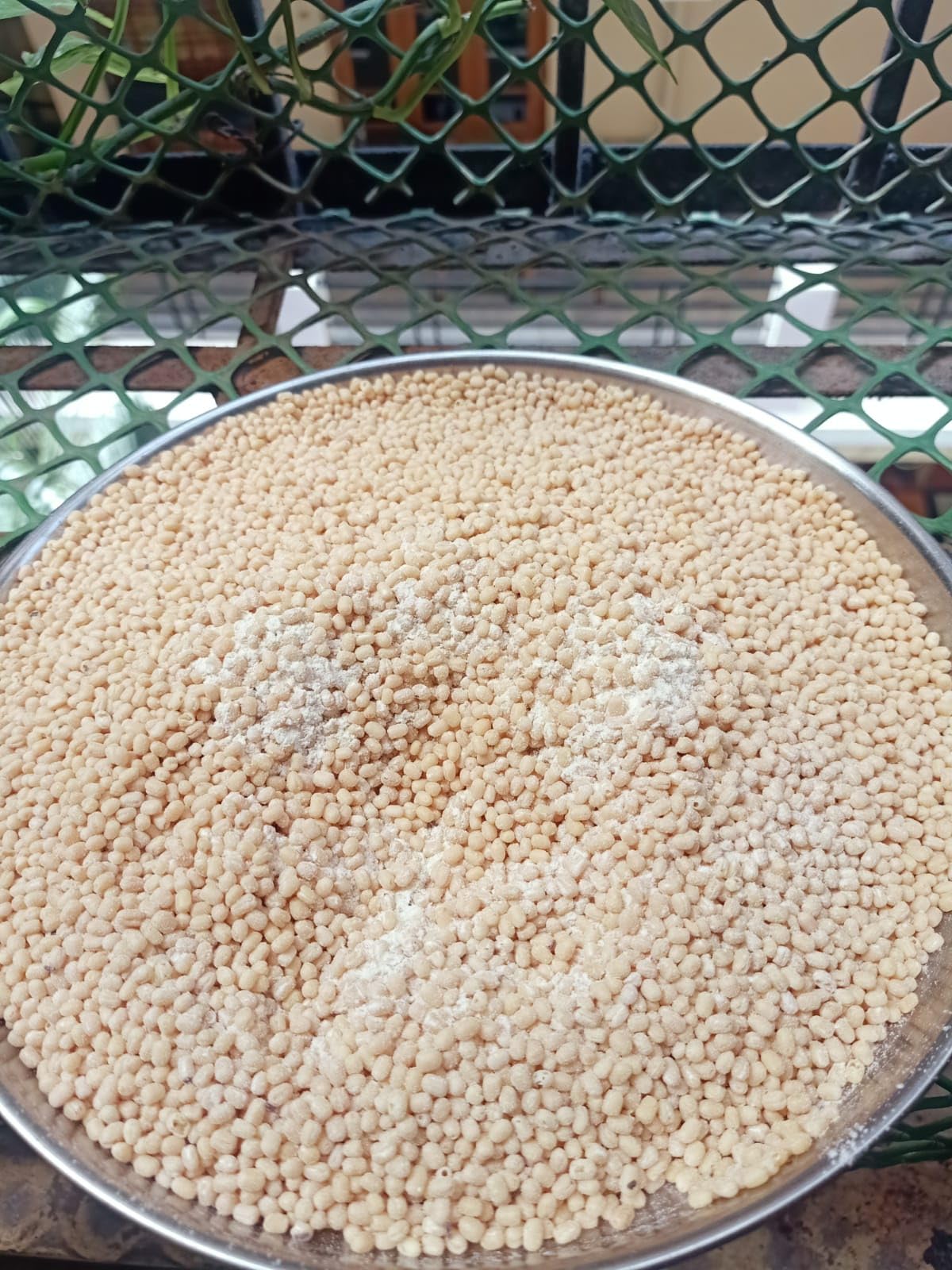 3S Pulses - Urad Whole (White), 1Kg : Amazon.in: Grocery & Gourmet Foods