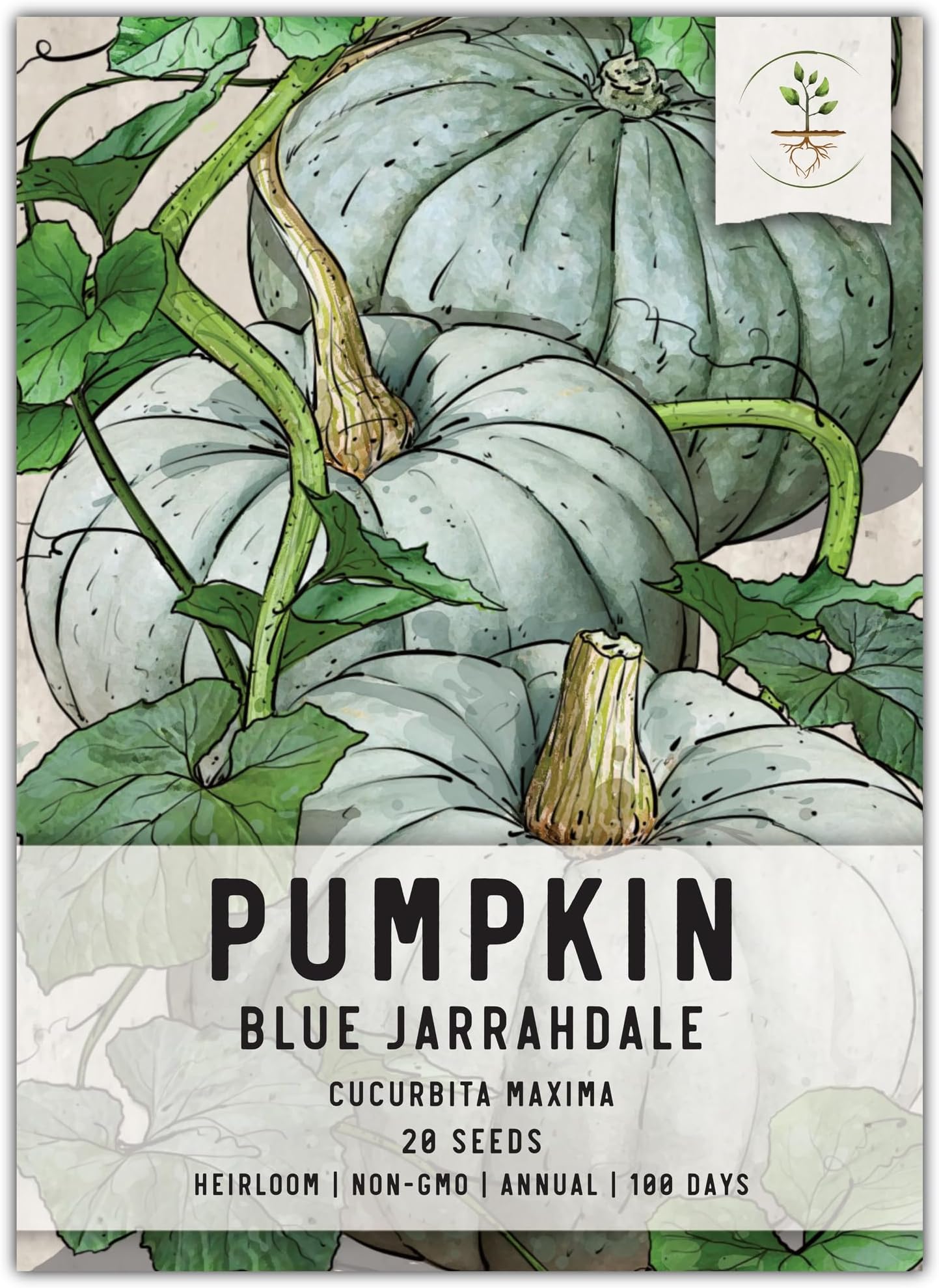 Amazon.com : David's Garden Seeds Pumpkin Kakai 25 Non-GMO, Heirloom Seeds : Pumpkin Plants ...
