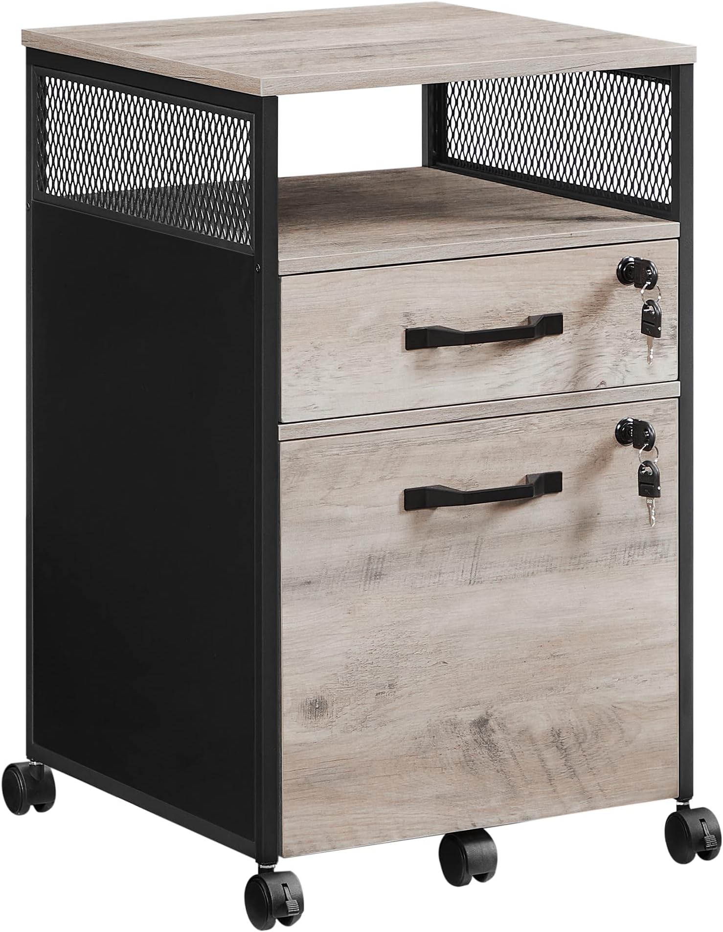 Amazon.com : VASAGLE 2-Drawer File Cabinet, Filing Cabinet for Home ...