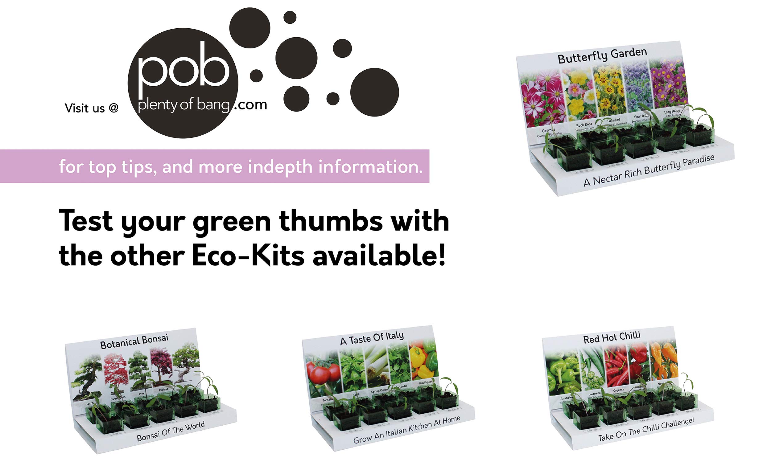 Butterfly Garden Grow Your Own Wild Flowers at Home Kit. Attract ...