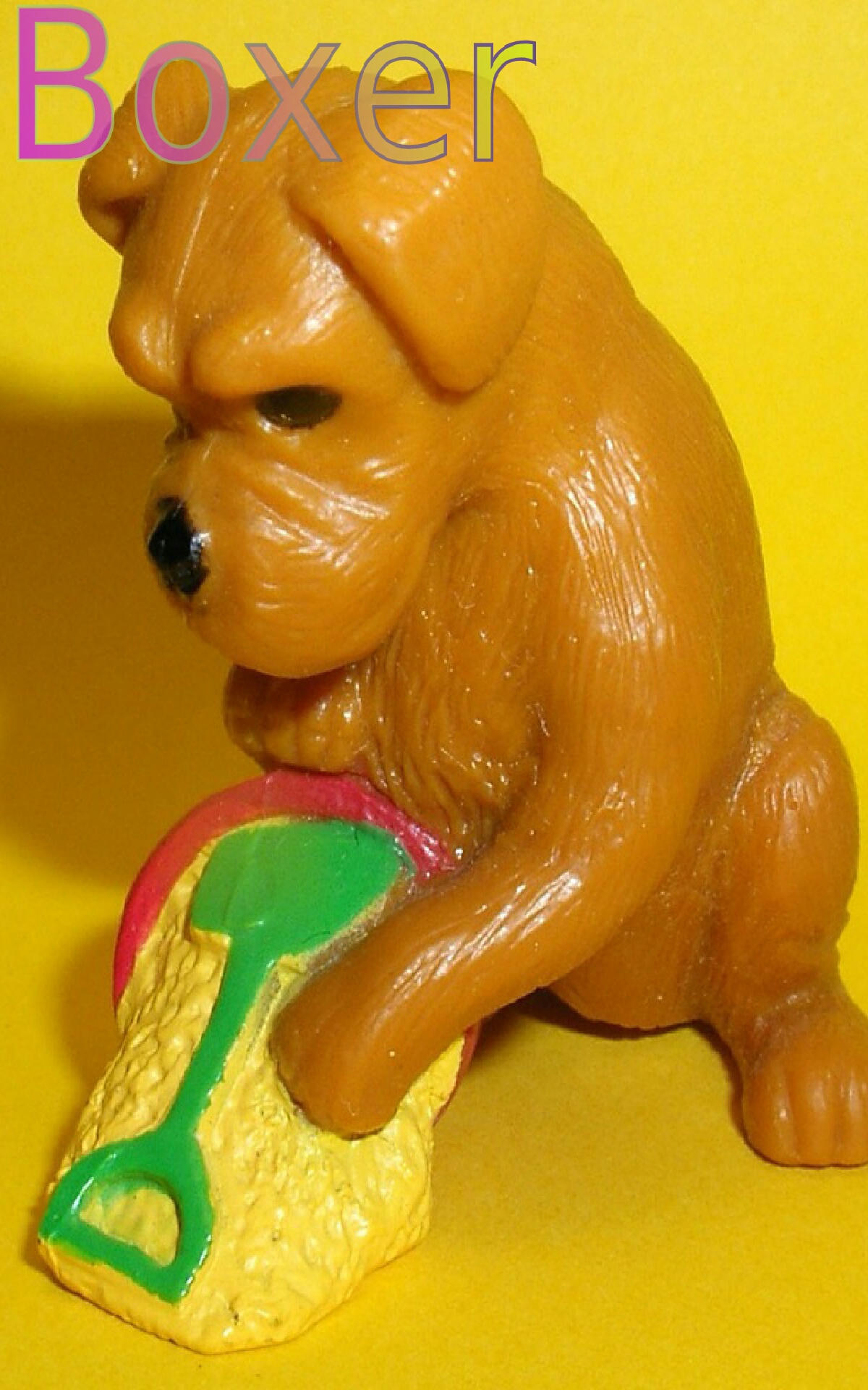 Model Puppy Dog Breeds 1:www.amazon.com:Appstore for Android