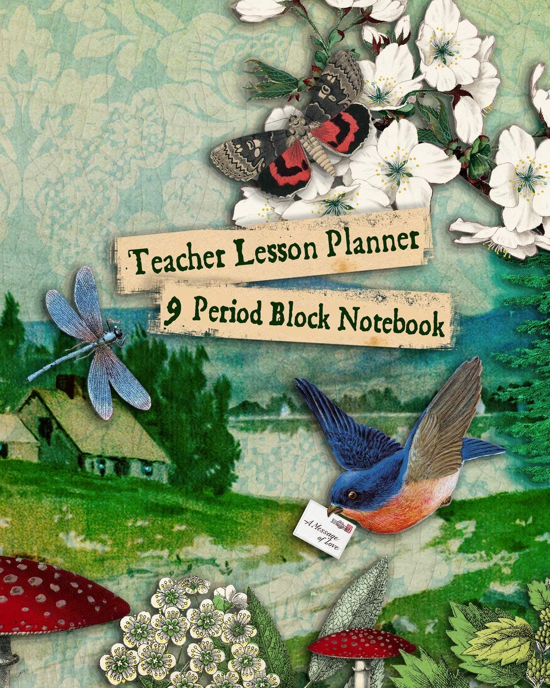 Amazon.com: Teacher Lesson Planner: 9 Period Block Notebook; Days ...