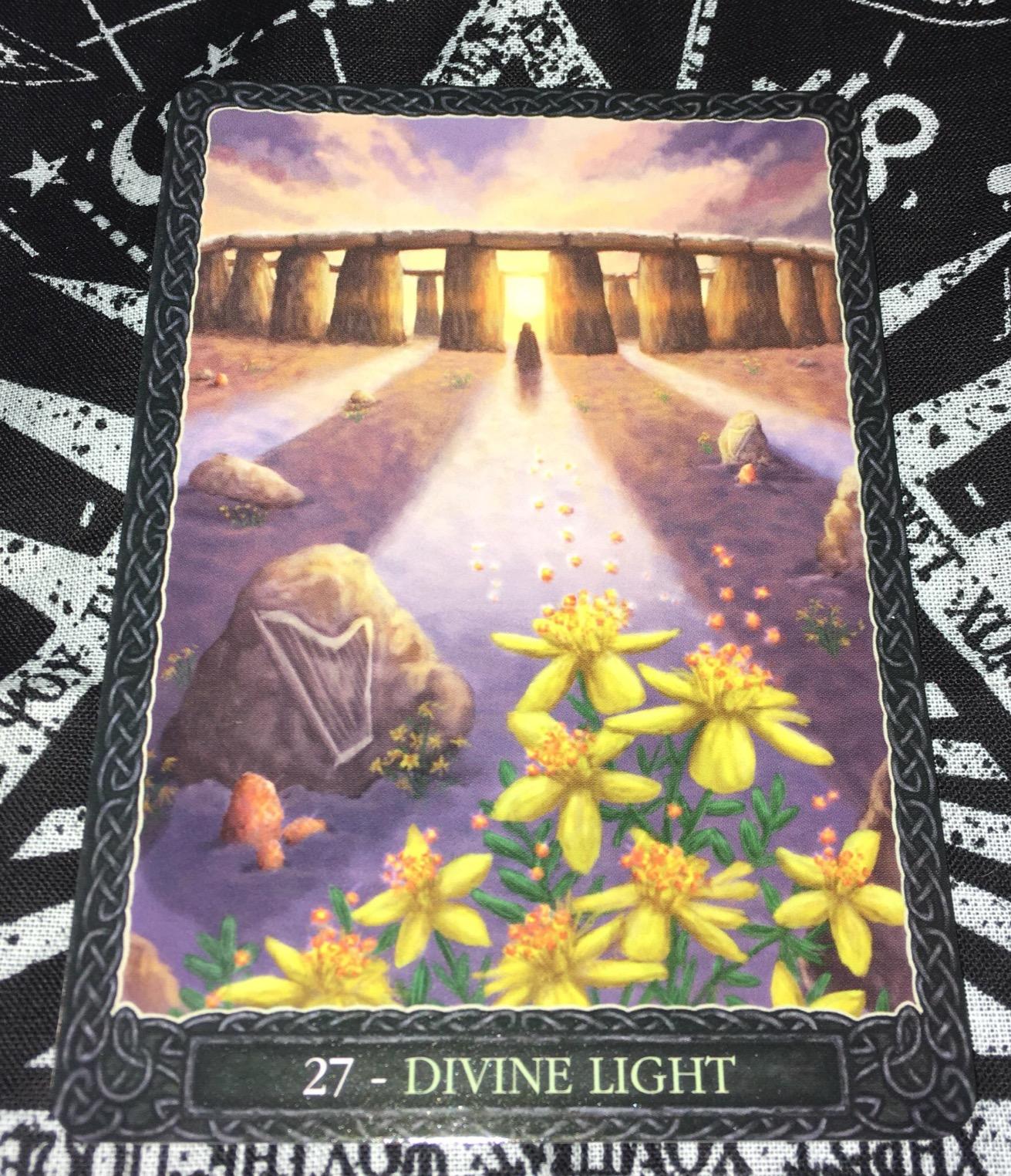 Earth Wisdom Oracle: 32 Full Colour Cards and Instructions: Amazon.co ...