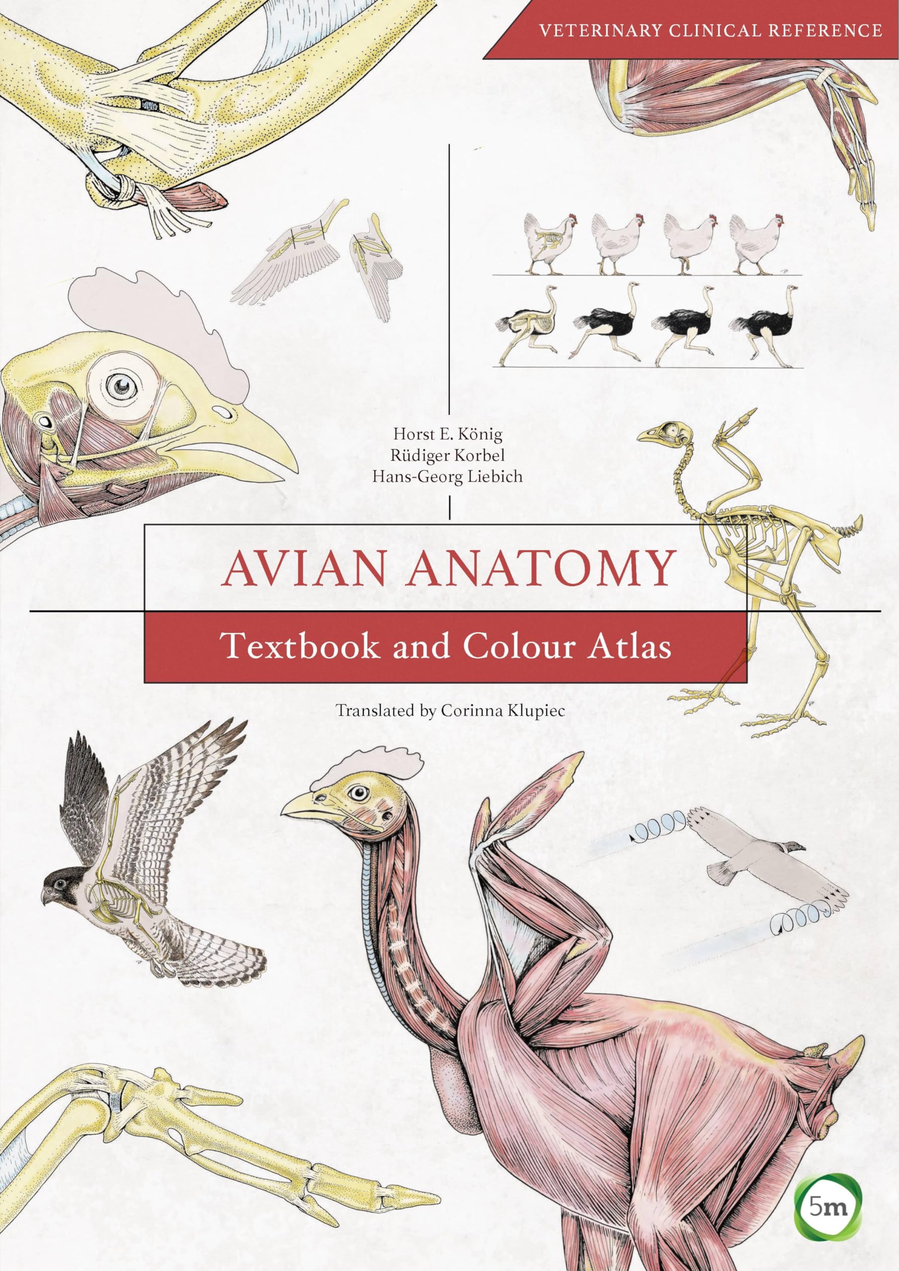 Avian Anatomy: Textbook and Colour Atlas (Second Edition) (Veterinary ...