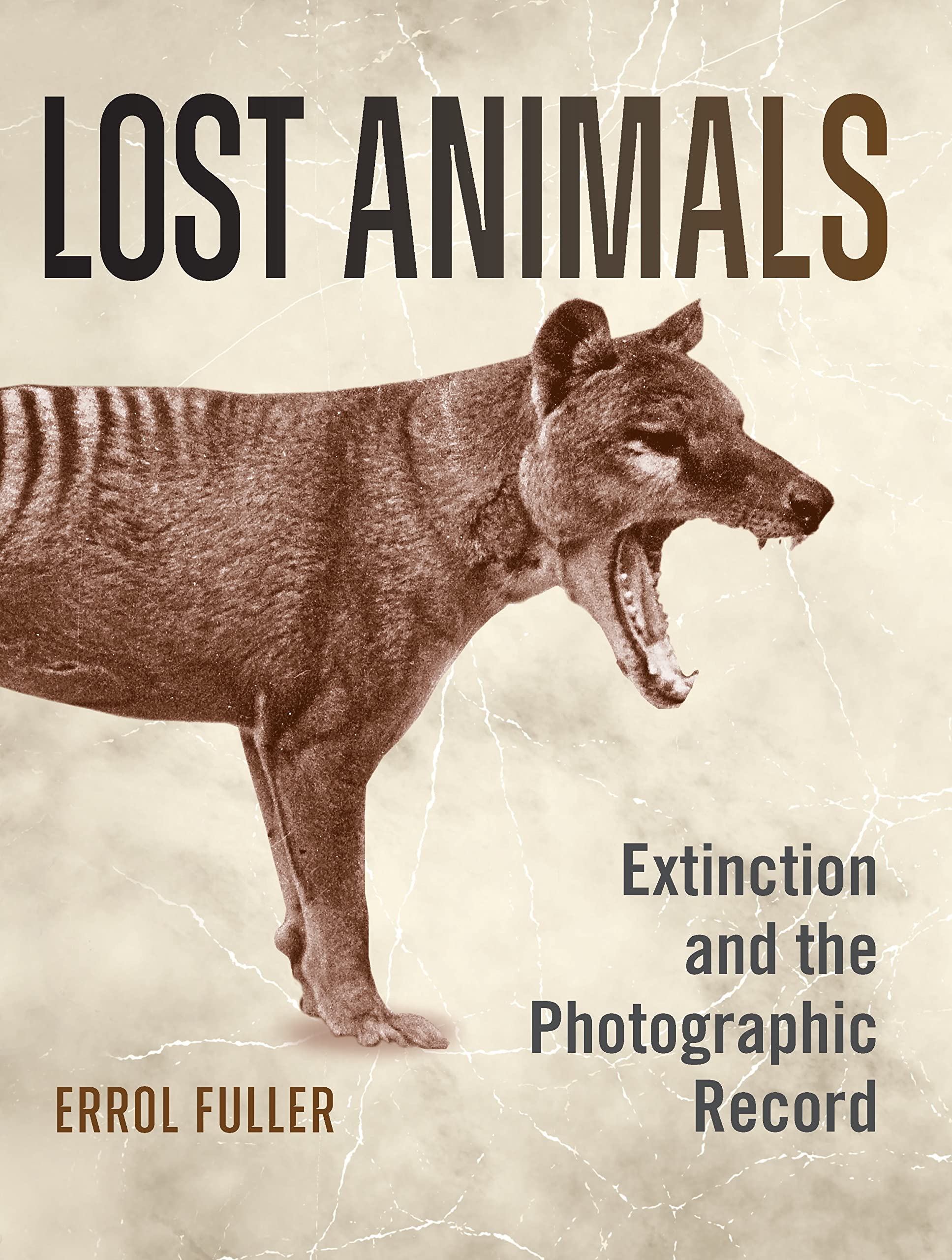 Lost Animals: Extinction and the Photographic Record: Amazon.co.uk ...