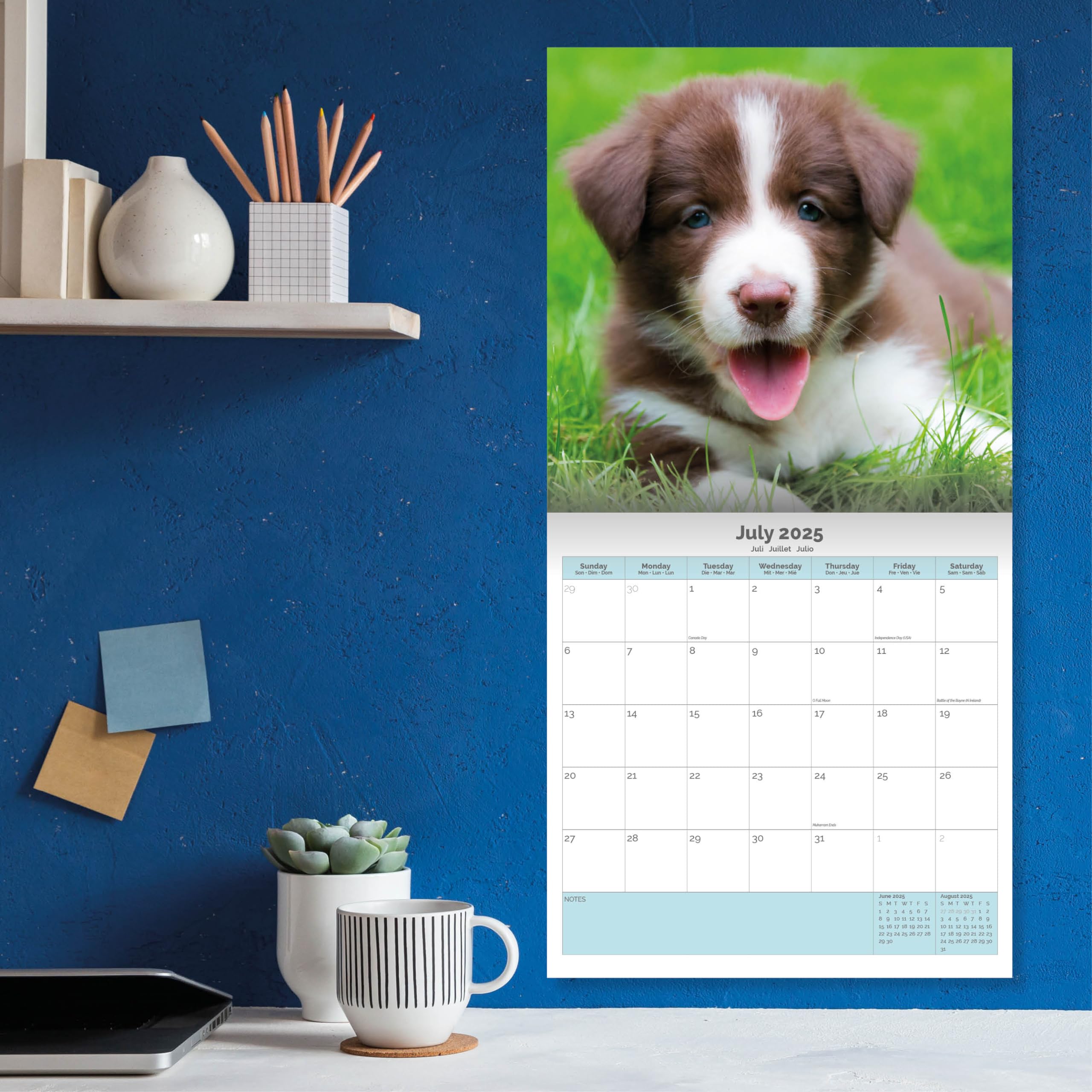 Baker and Bray Border Collie Puppies Calendar 2025, Large Square Wall ...