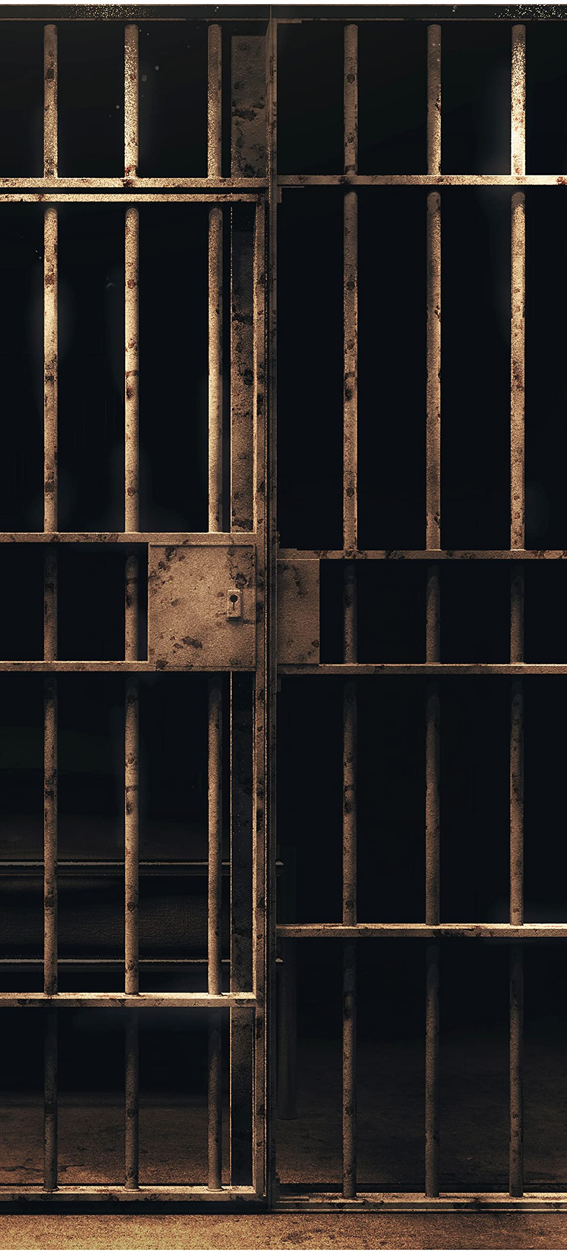 Dungeon Cell Door Grunge Door Prison Stock Illustrations – 553