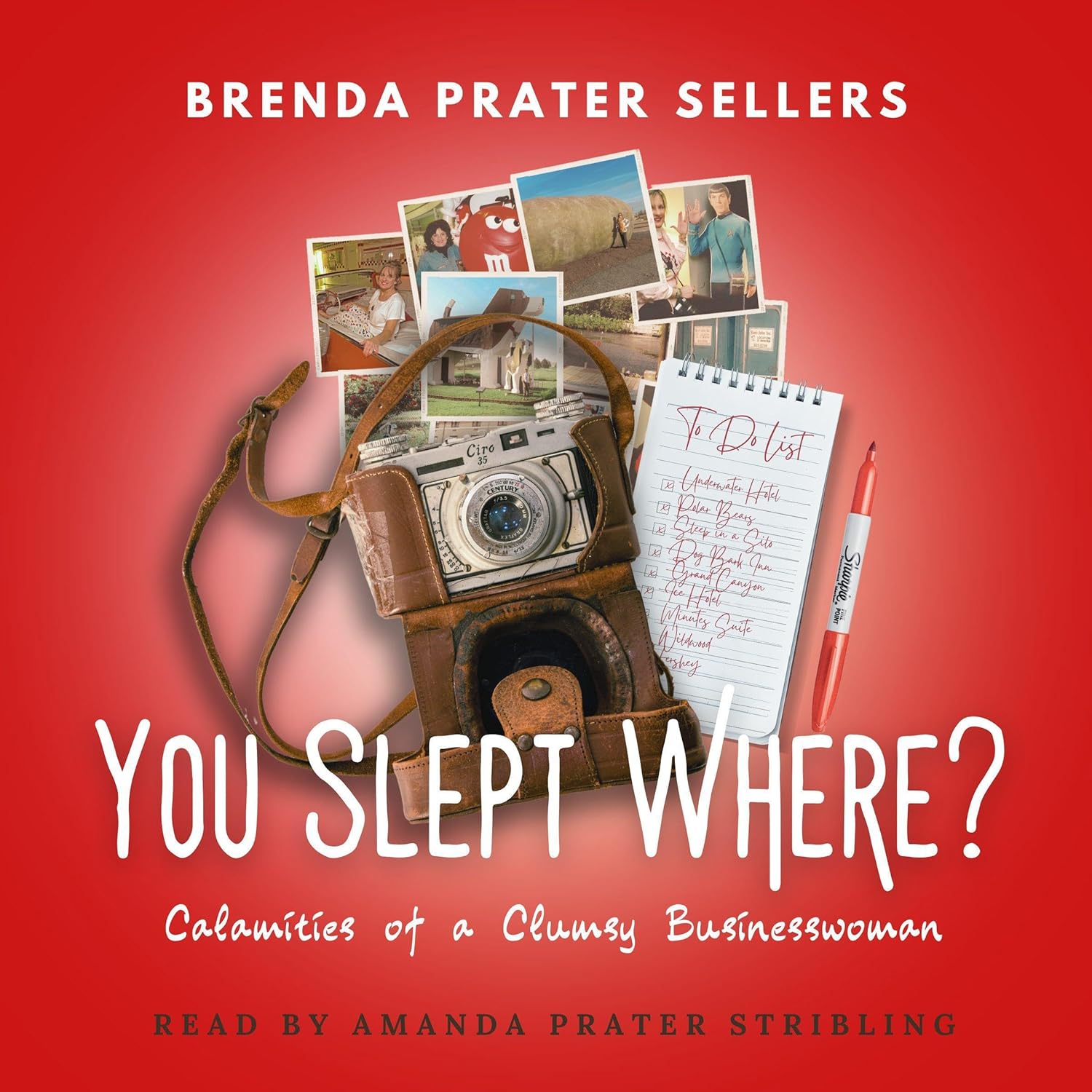 Amazon.com: You Slept Where?: Calamities of a Clumsy Businesswoman ...
