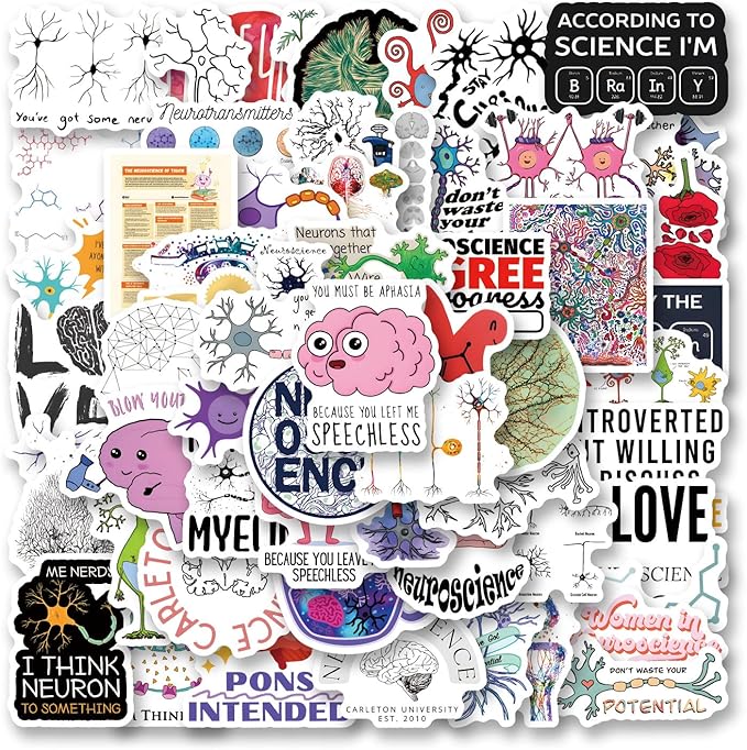 Amazon.com: 124Pcs Neuroscience Stickers Pack, Cartoon Cute Vinyl ...