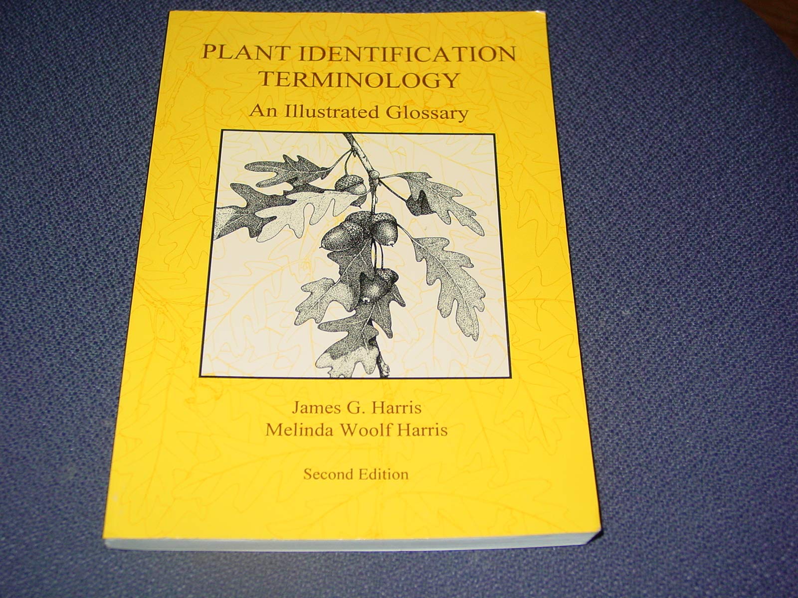 Snapklik.com : Plant Identification Terminology: An Illustrated Glossary
